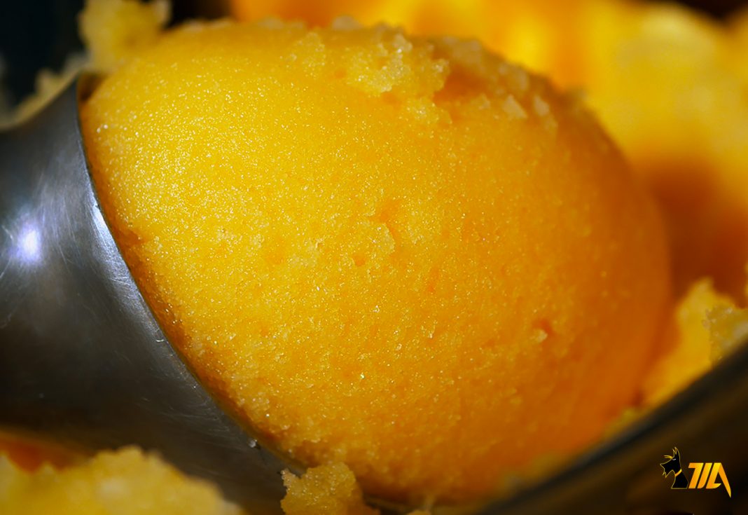 SORBET MANGUE & PASSION - Cook Expert Magimix