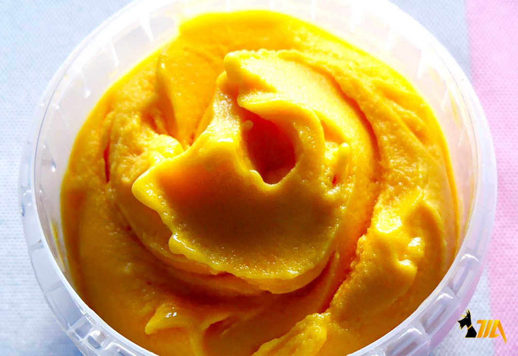 SORBET MANGUE & PASSION - Cook Expert Magimix