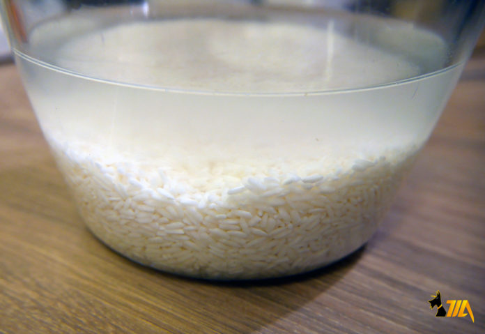 RIZ GLUANT - Cook Expert Magimix